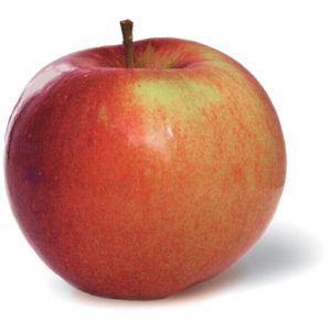 Hva kan du om epler? - Kulinarisk Blogg